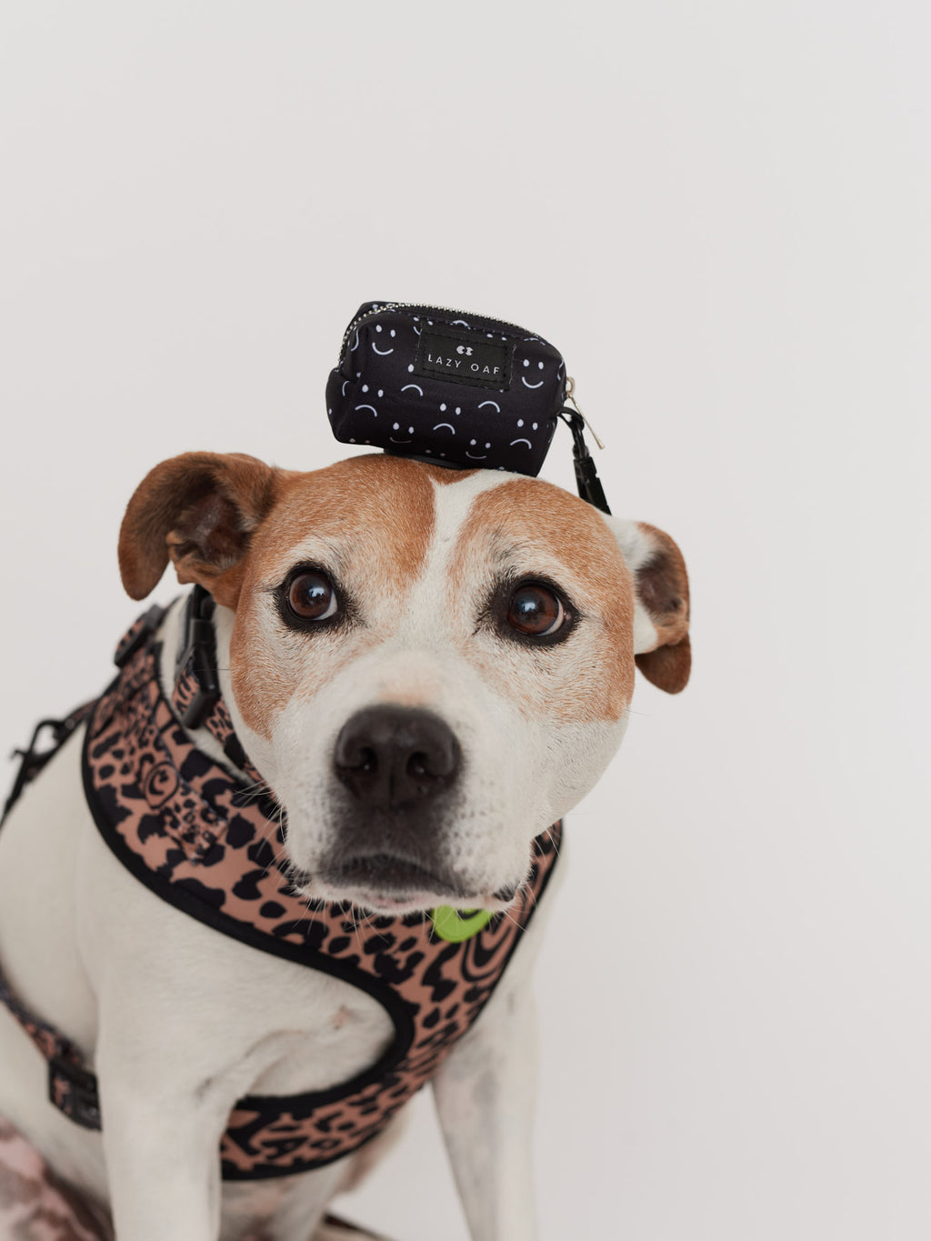 Happy Sad Doggy Poop Bag – Lazy Oaf